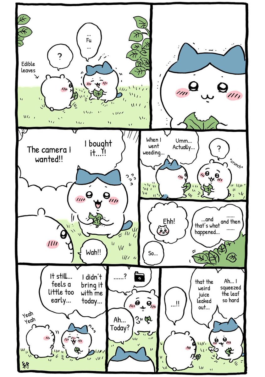 Chiikawa on Twitter: "🍃 #Chiikawa"