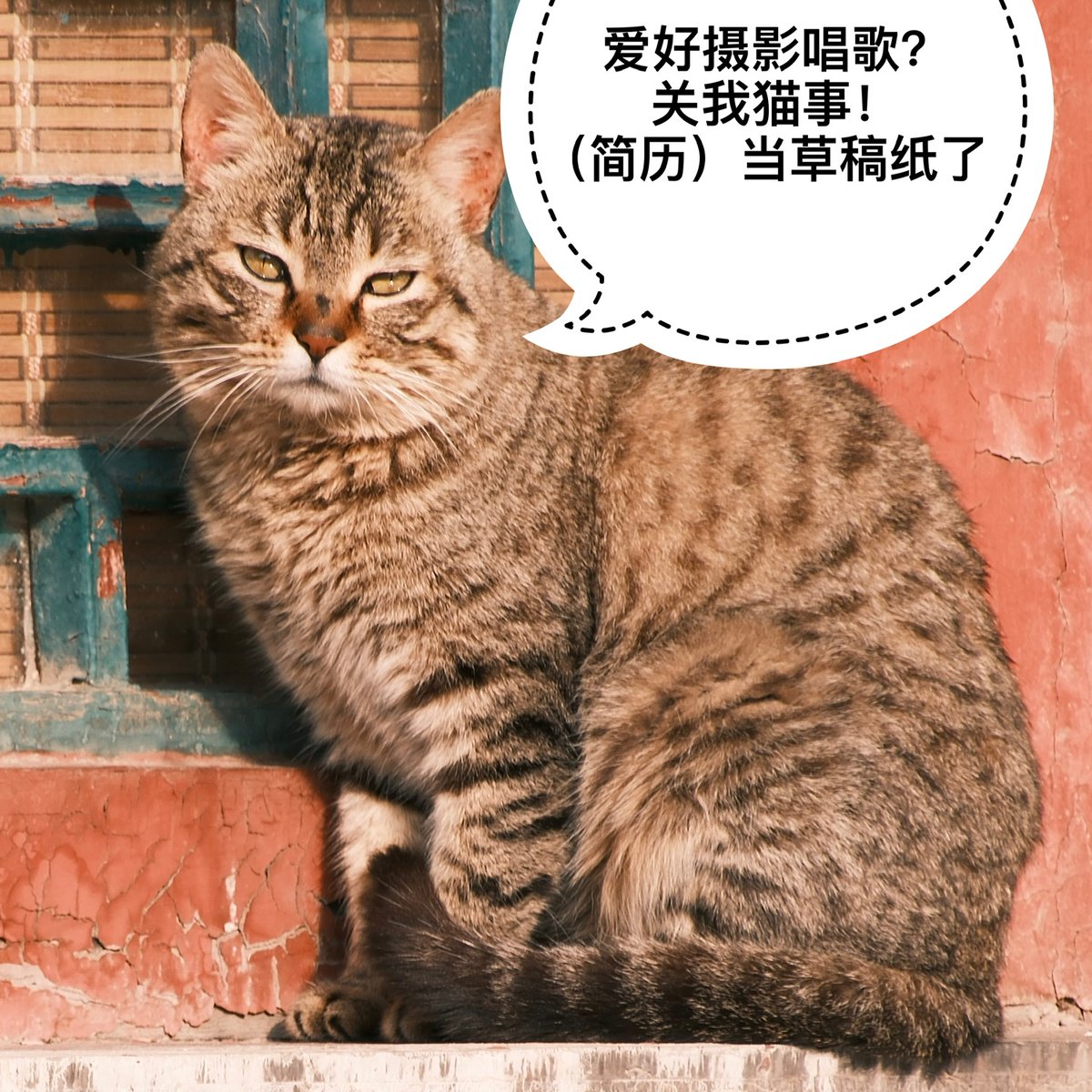 Thread by @jike_collection on Thread Reader App – Thread Reader App