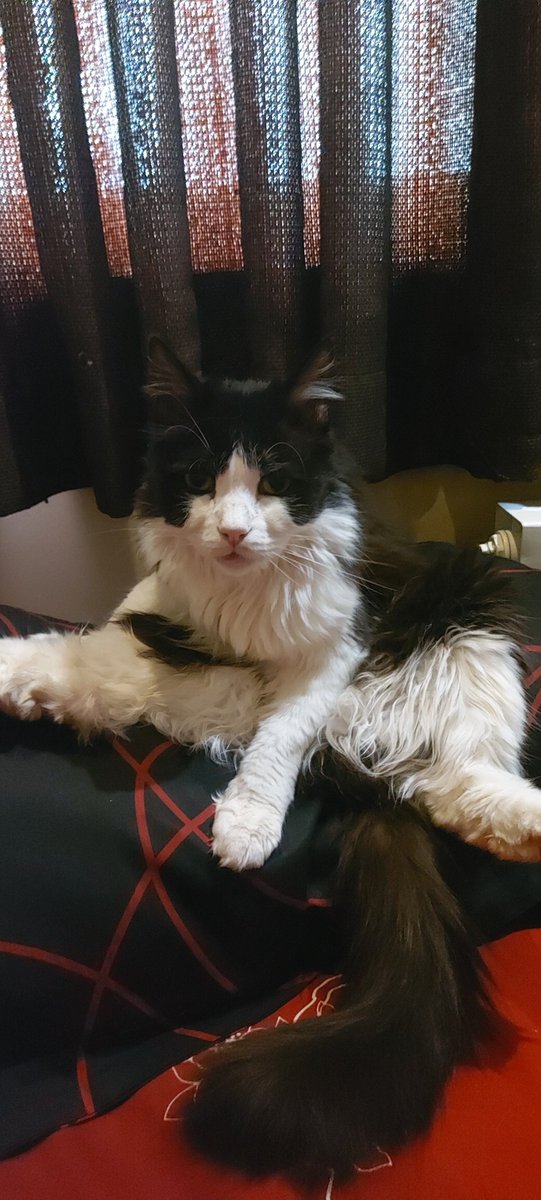 Nariman on Twitter: "اسفند."