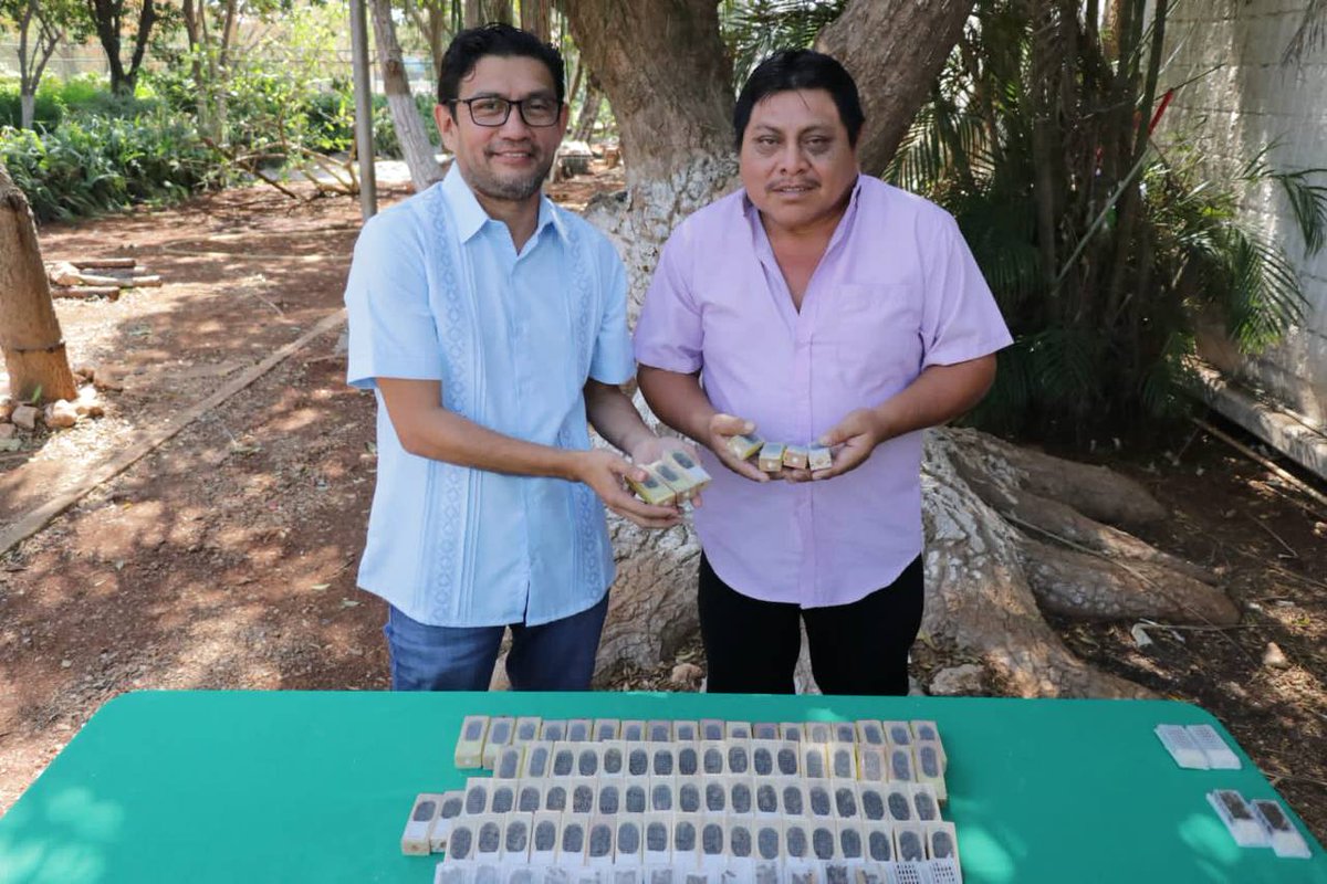 Gobierno De Yucatán On Twitter Entregamos Paquetes De Abejas Reina En