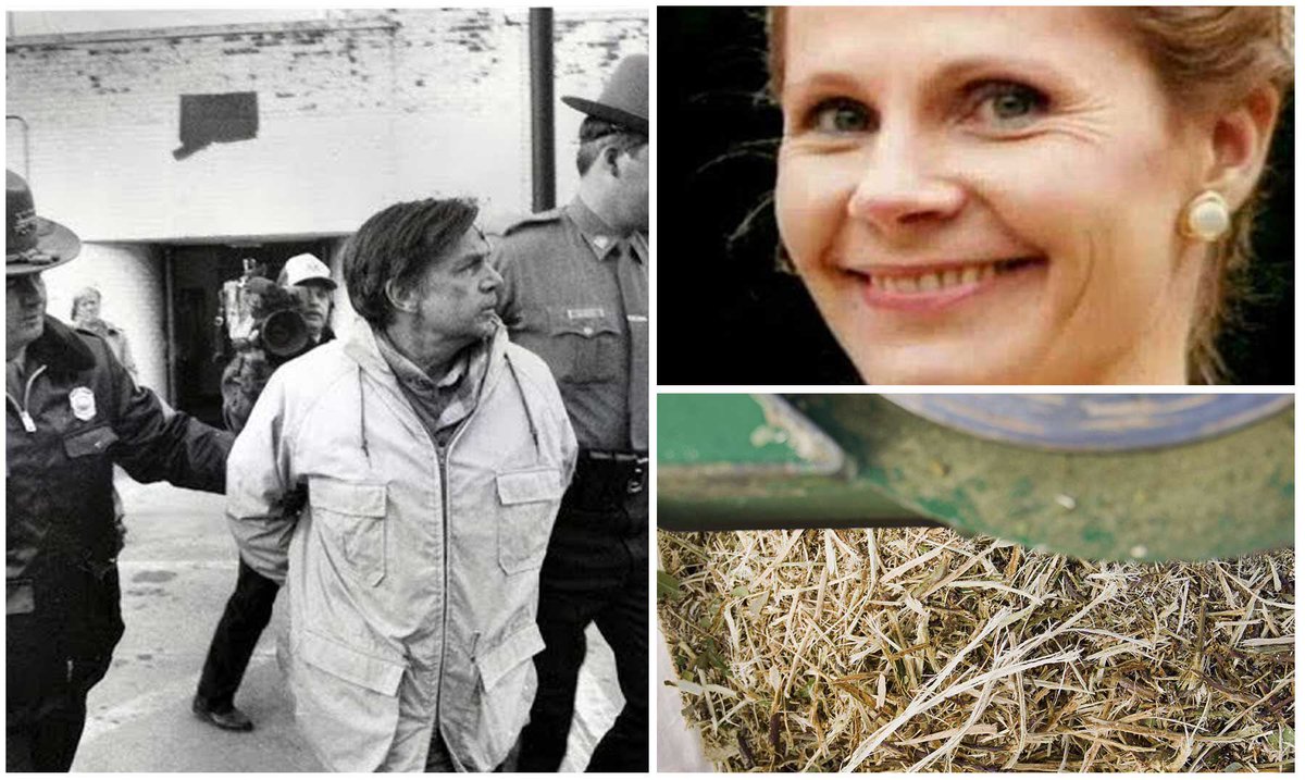 10 Brutales casos de asesinato que te causarán pesadillas Abro hilo 🧵 ...