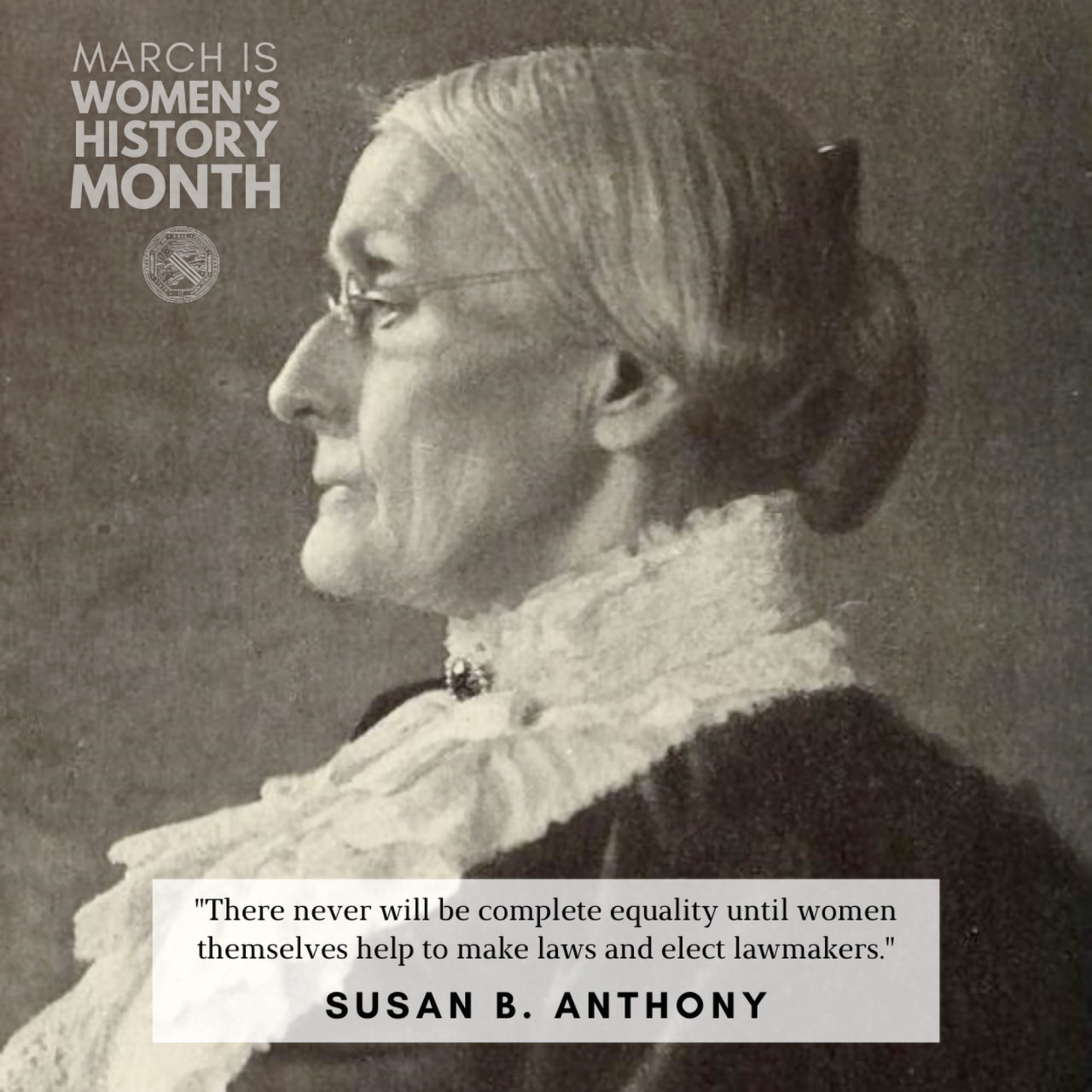 Susan B Anthony Quotes On Womens Suffrage