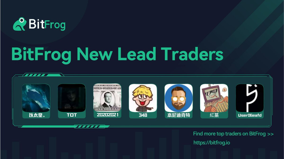 BitFrog on Twitter: "👇New lead traders joined in #BitFrog 🧐Check their profiles and find the one ...
