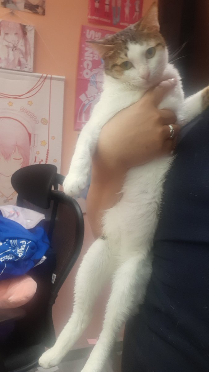 Duke Doke on Twitter: "My daughter love me too much she wont let me alone help"