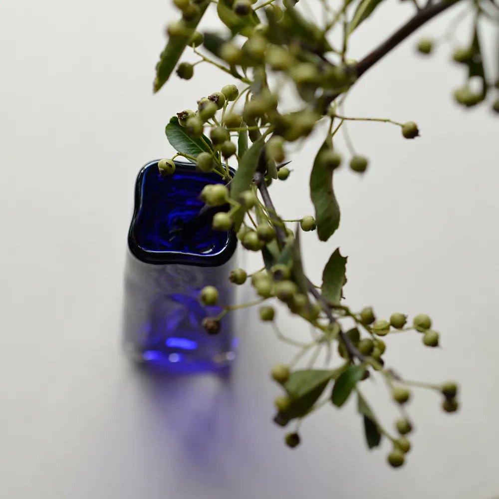 iichi (いいち)(@iichi_Japan) - Twilog (ツイログ)