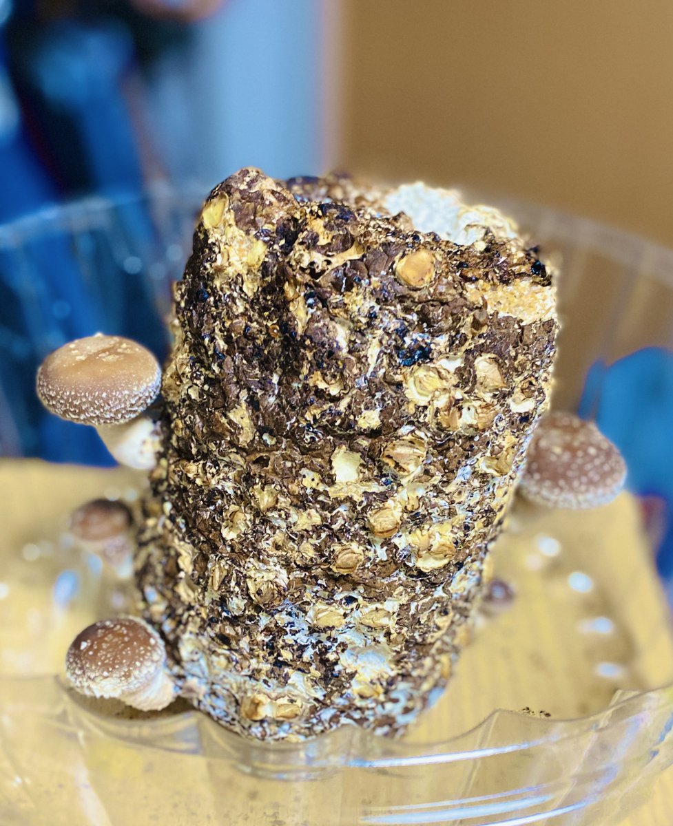 みっけ(@kkk_ekmm) - Twilog