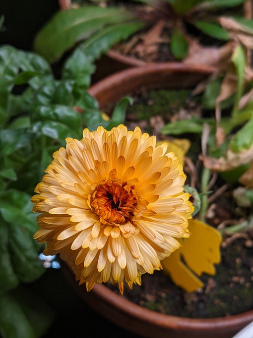 TW Pornstars - 🖤🧡Xee Prince🧡🖤. The latest pictures and videos from ...