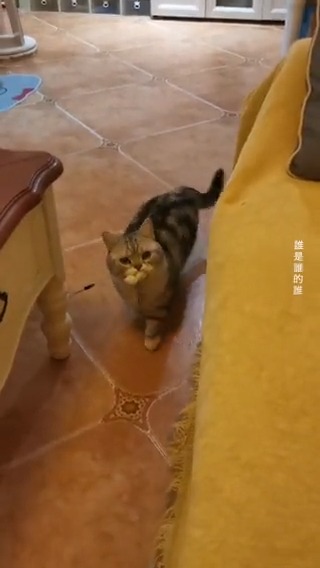 9GAG ️ Memeland on Twitter: 9GAG ️ Memeland on Twitter: