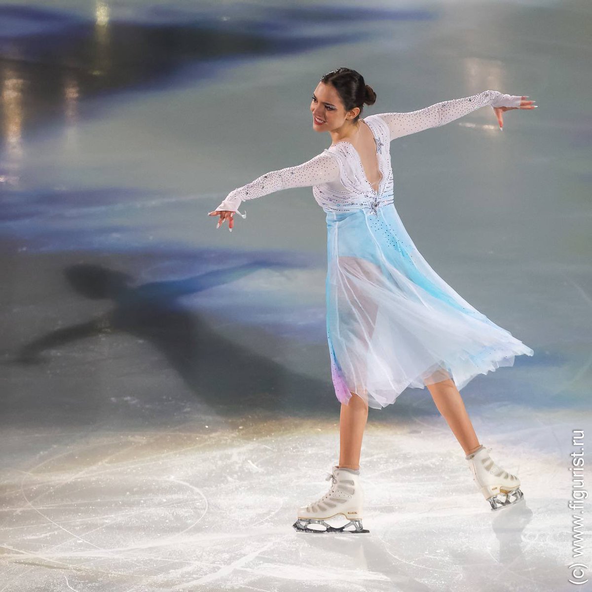 Team.Moonbear on Twitter: