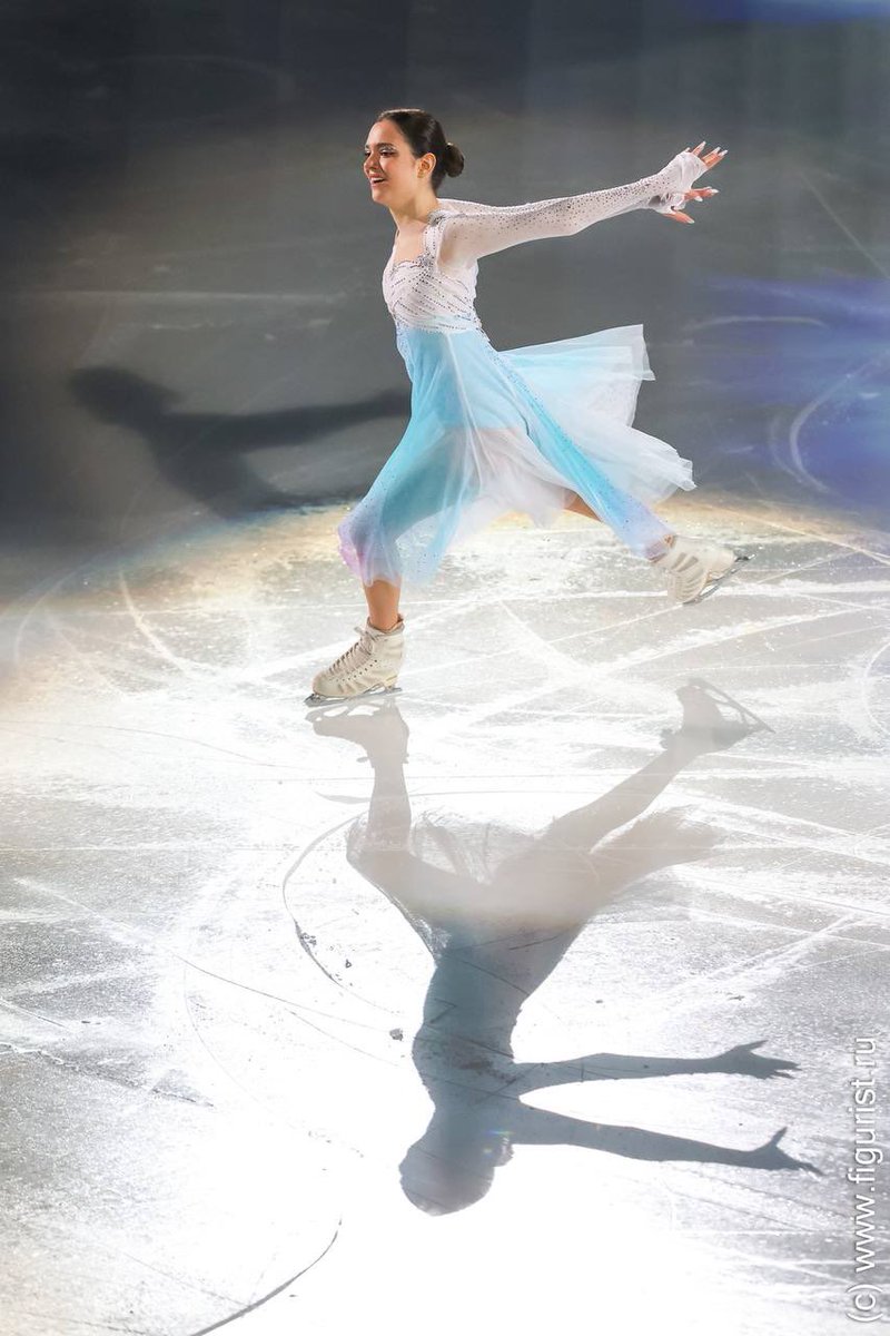 Team.Moonbear on Twitter: