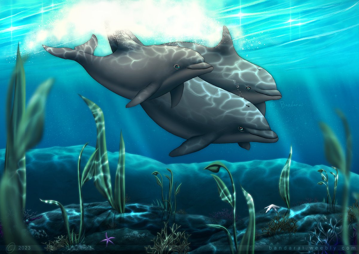 Bandarai on Twitter: ""Shaab Samadai Lagoon" Painted for Dolphin Awareness Month. 🐬💙 Some of the ...