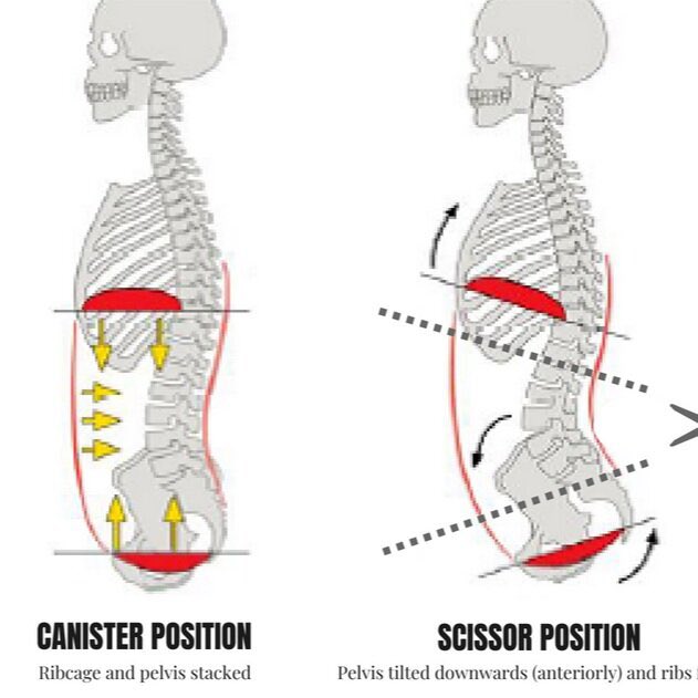 Squatting is the most over-coached exercise in my opinion There is a ...