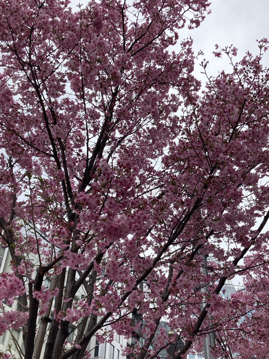 kumikakko(@kumikakko) - Twilog (ツイログ)