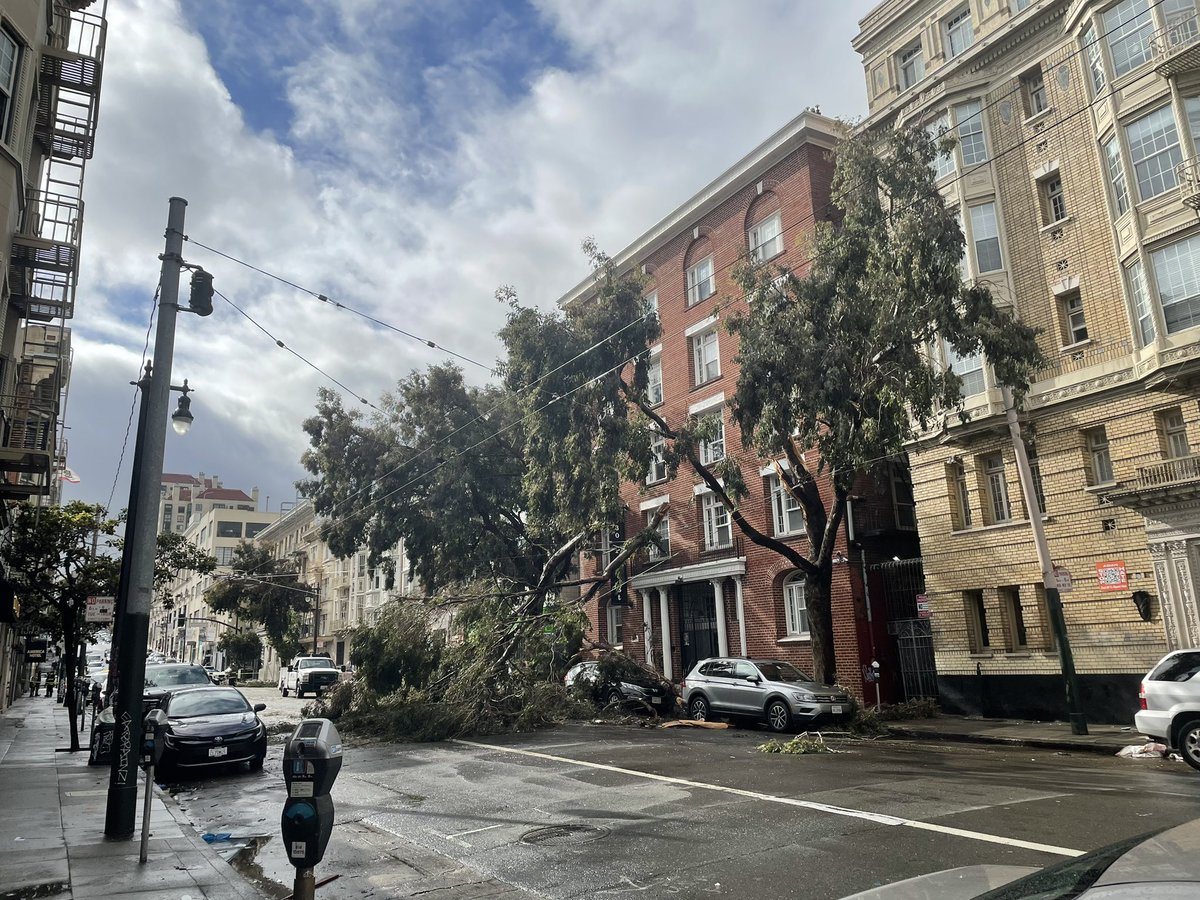 Bay Area weather: Winds up to 88 mph blow through region