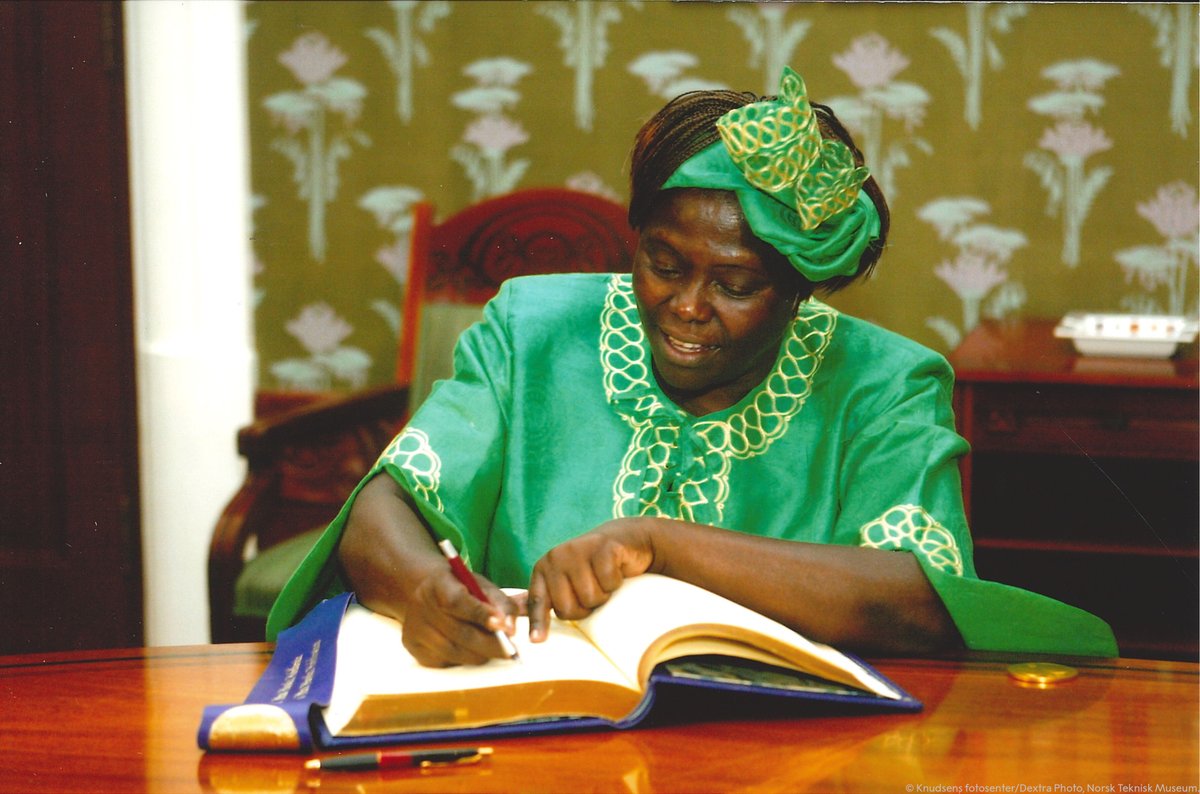 In 1977 Wangari Maathai started planting trees in Kenya to combat ...