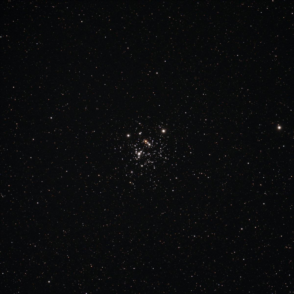 Skymaps.com on Twitter: "The Jewel Box Cluster (NGC 4755) is a beautiful star cluster in Crux ...