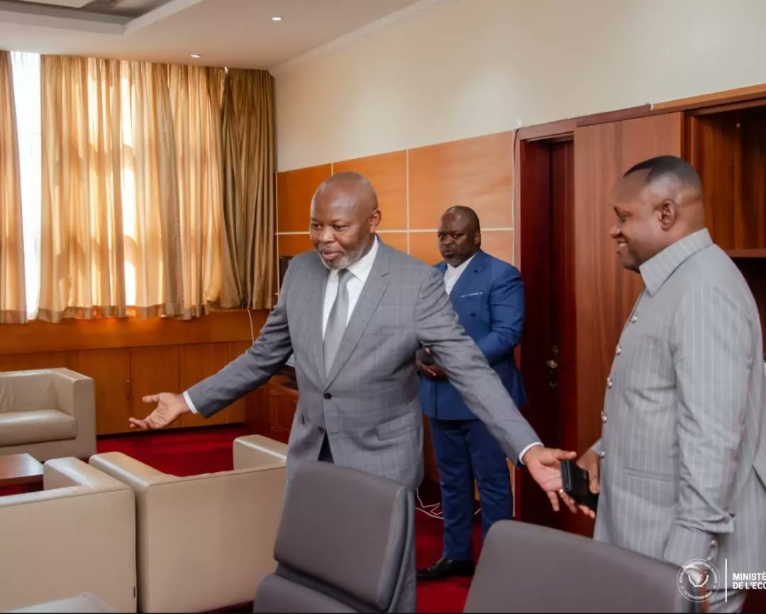 Jonathan Mazambi on Twitter: "#RDC: Le Vice-Premier Ministre en charge de l’Économie a sollicité ...