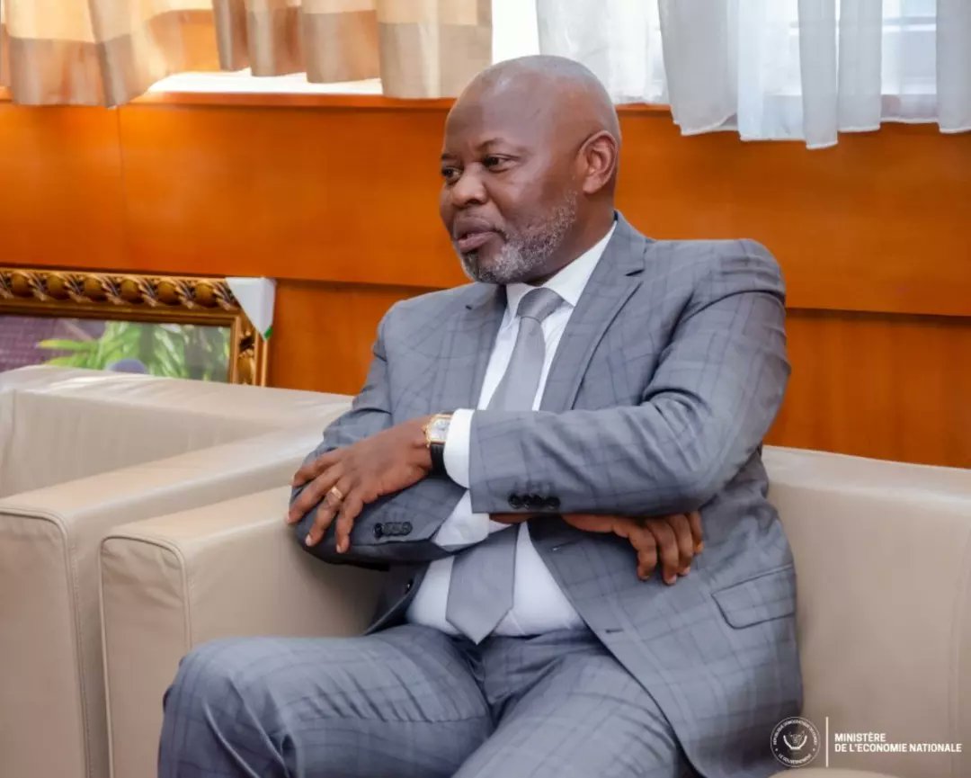 Jonathan Mazambi on Twitter: "#RDC: Le Vice-Premier Ministre en charge de l’Économie a sollicité ...