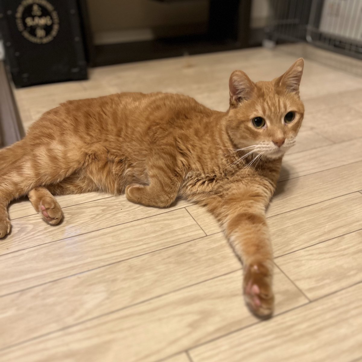 KO_SLANG🌟(@KO_SLANG) - Twilog