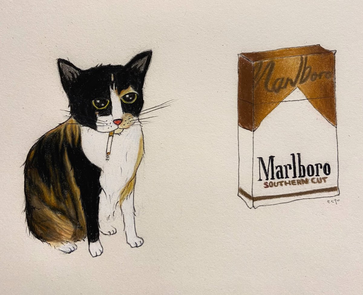 Marlboro Southern Cut