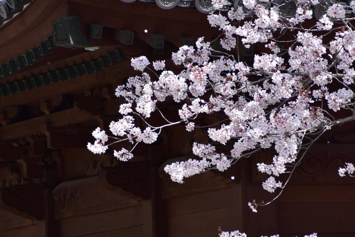 ko(@ko_viv) - Twilog (ツイログ)