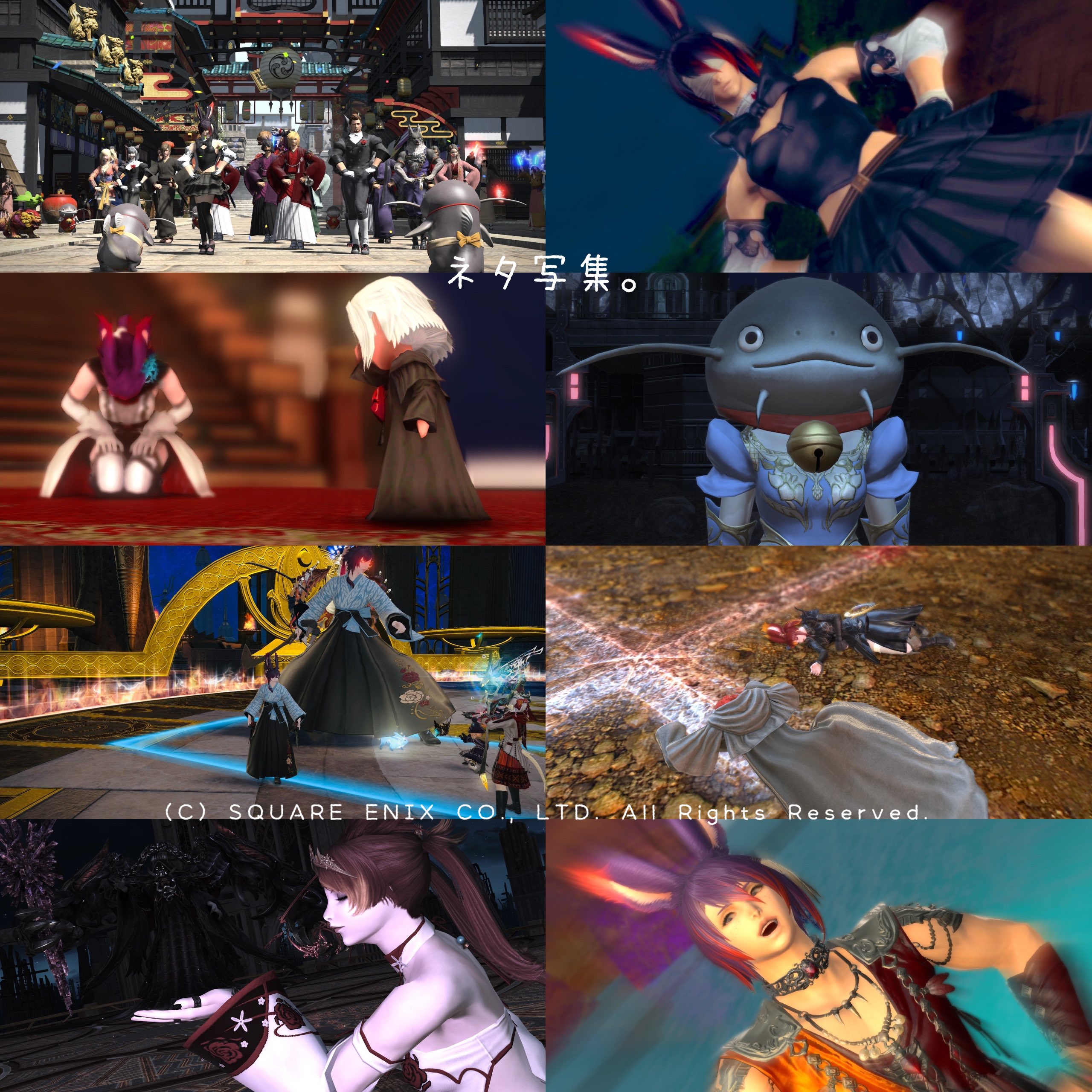 ゆっきー /☽RT専用（🦀ちゃんなう） (@YukeeRTonly) / Twitter