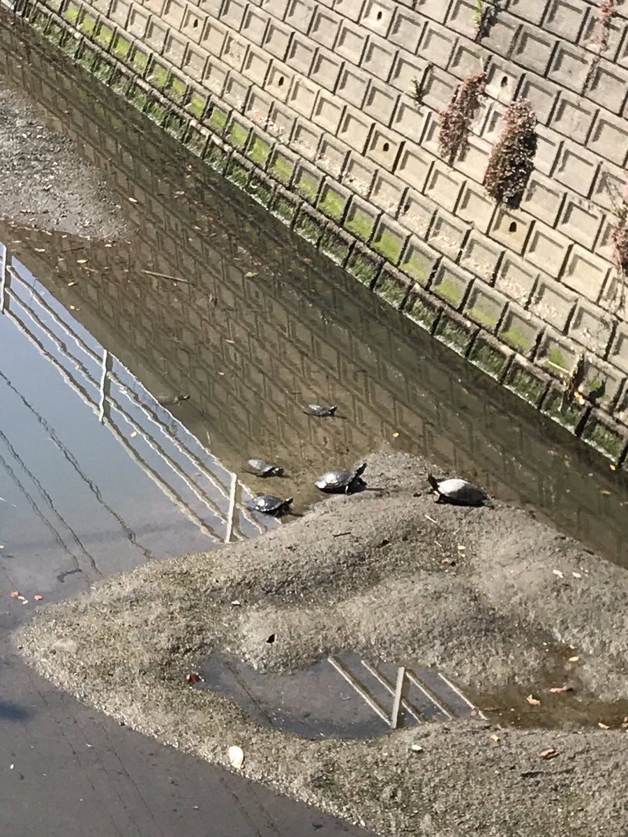 coco(@coco_n) - Twilog (ツイログ)