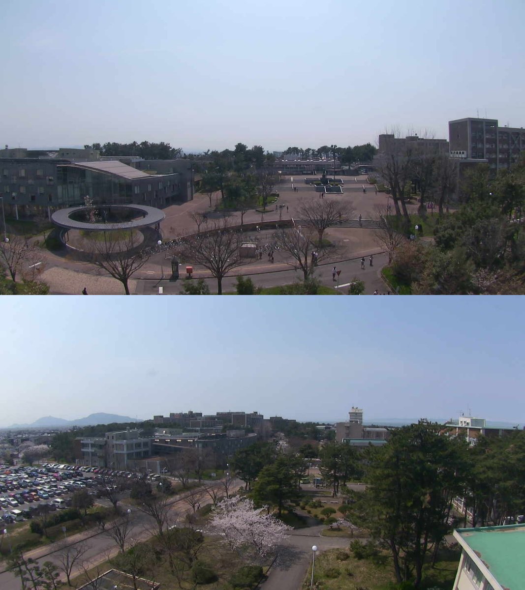 ライブカメ子(@live_cameko) - Twilog