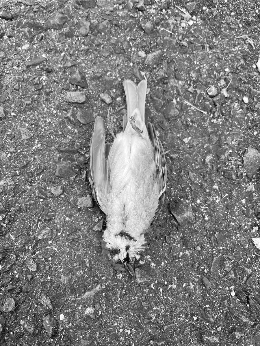 うえはる(@mizugiwa_uehr) - Twilog (ツイログ)