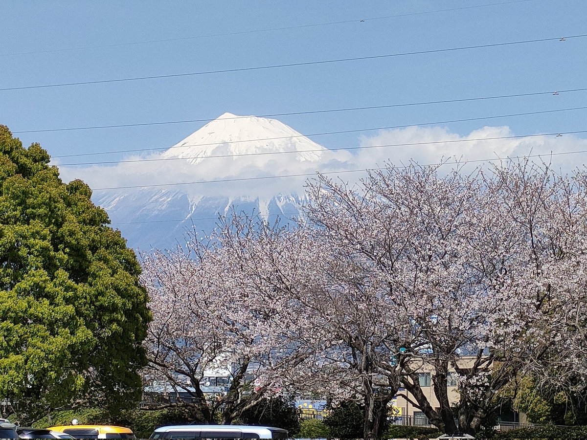 うがい手洗い しおぴお🌞(@siopio) - Twilog