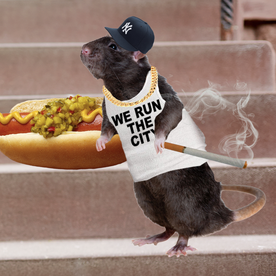 The Ultimate New Orleans Guide - Fagabond