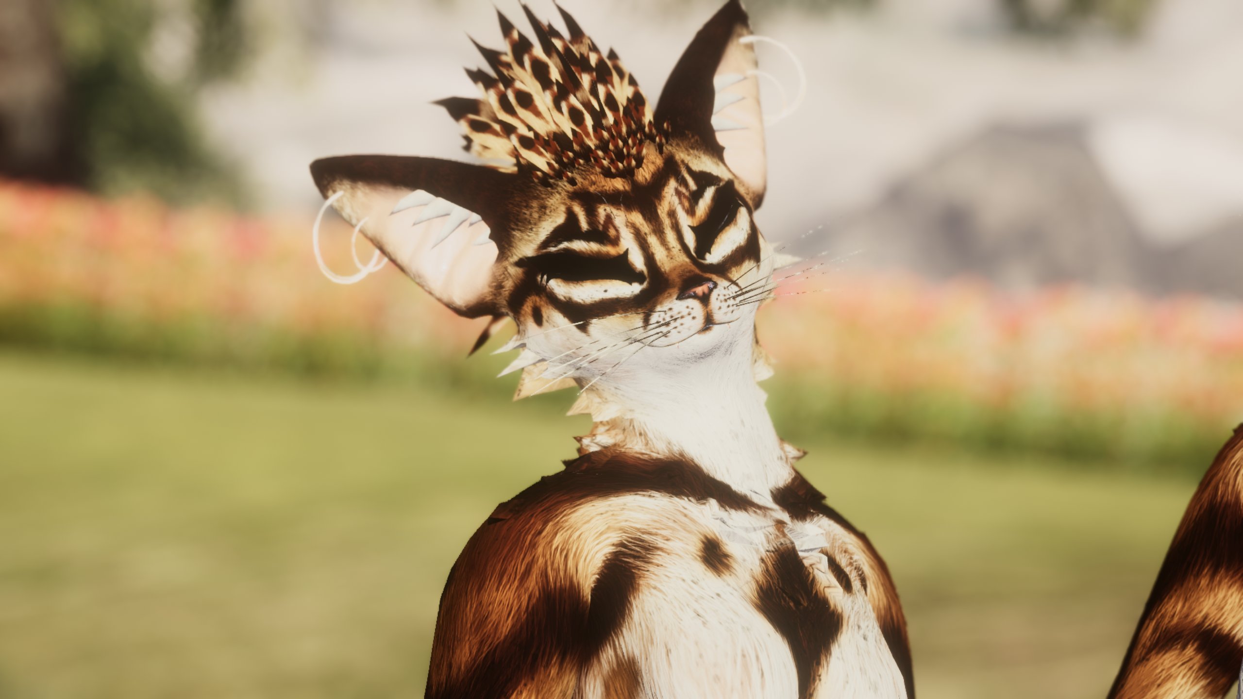 Sat Kartoffel ️ Furality Sylva (@SatKartoffel) / Twitter