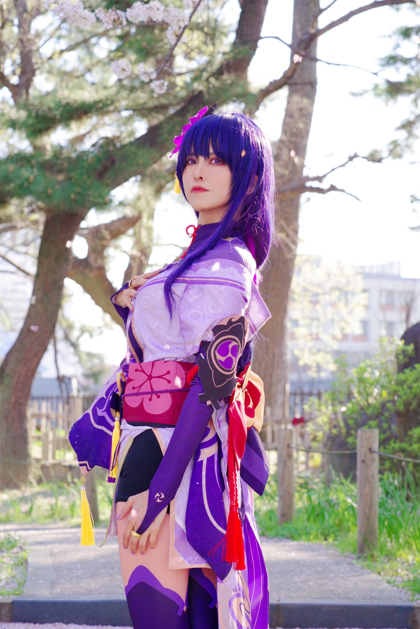 chiro@4/2小倉お疲れ様でした🌸 on Twitter: "※cos 原神/雷電将軍(影) 人生初の桜🌸撮影 念願の八重神子ちゃんとの併せで満足です🍡スマートさんありがとございます ...