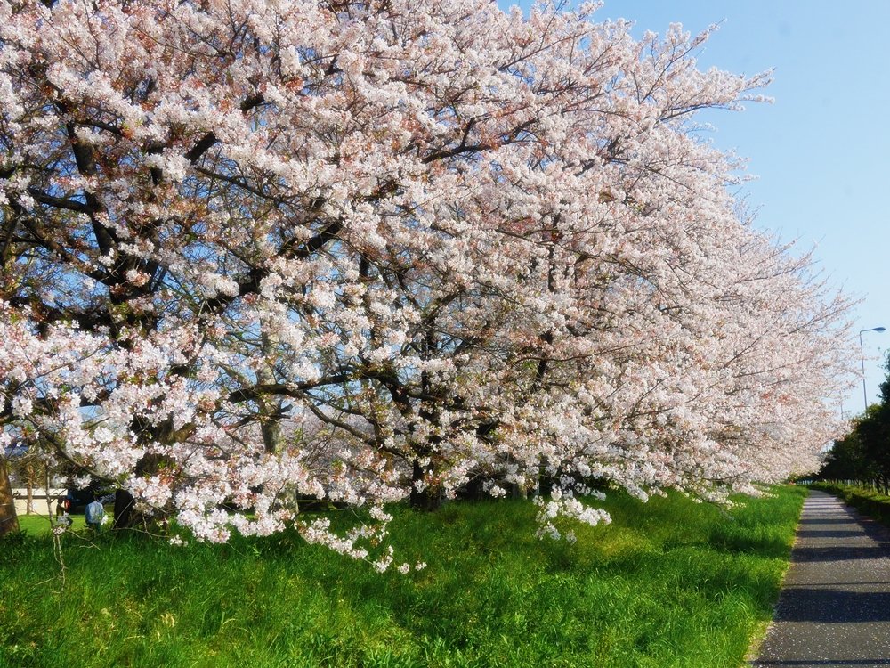 Zoikhem(エロスはハイライトをご覧ください)(@Zoikhem1) - Twilog (ツイログ)