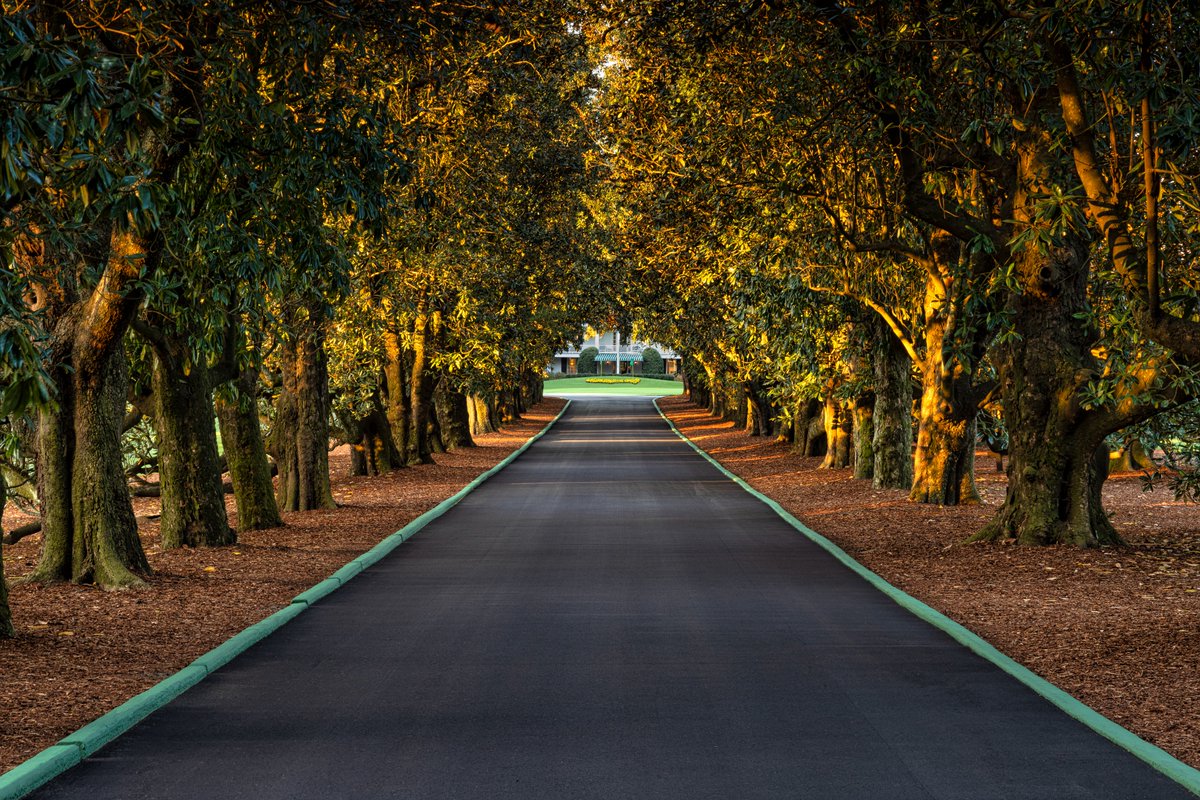 Magnolia Lane Bloomingdale Ga at Alice Manning blog