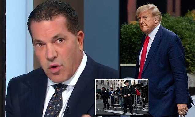 Daily Mail US on Twitter: "Trump lawyer says he doesn't think Stormy Daniels case will see a ...