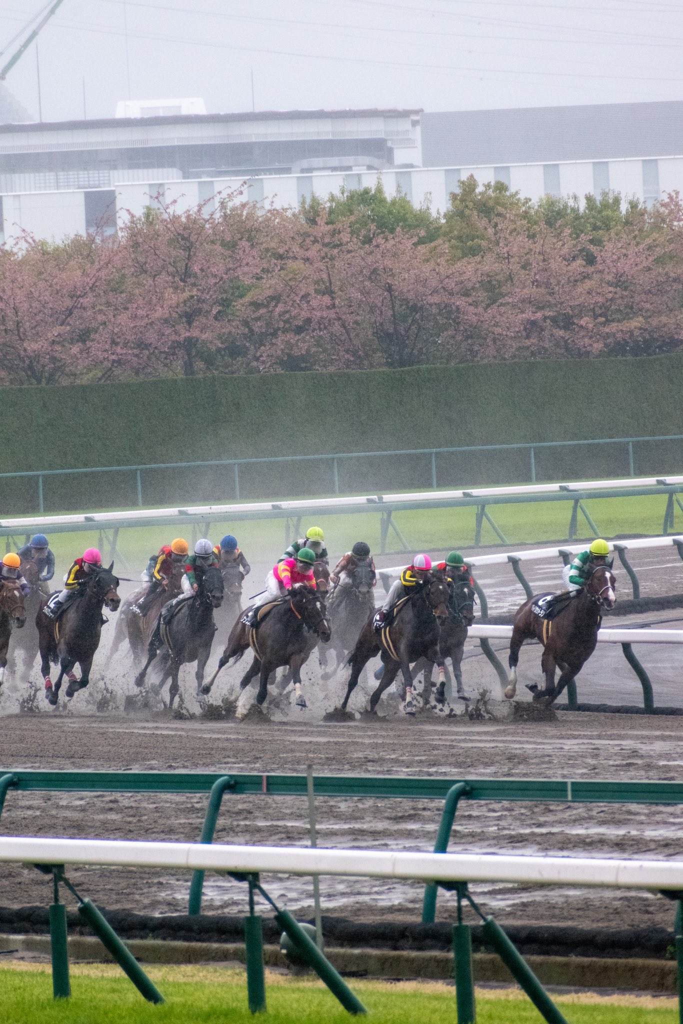 musaboru (@dmn_msbr) / Twitter