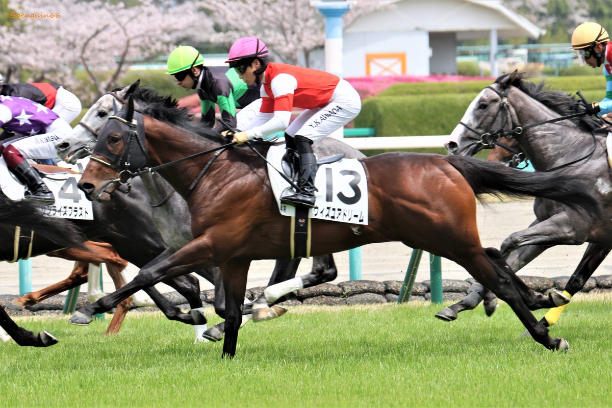 ぺんぎんさん🐧(@penguin66) - Twilog