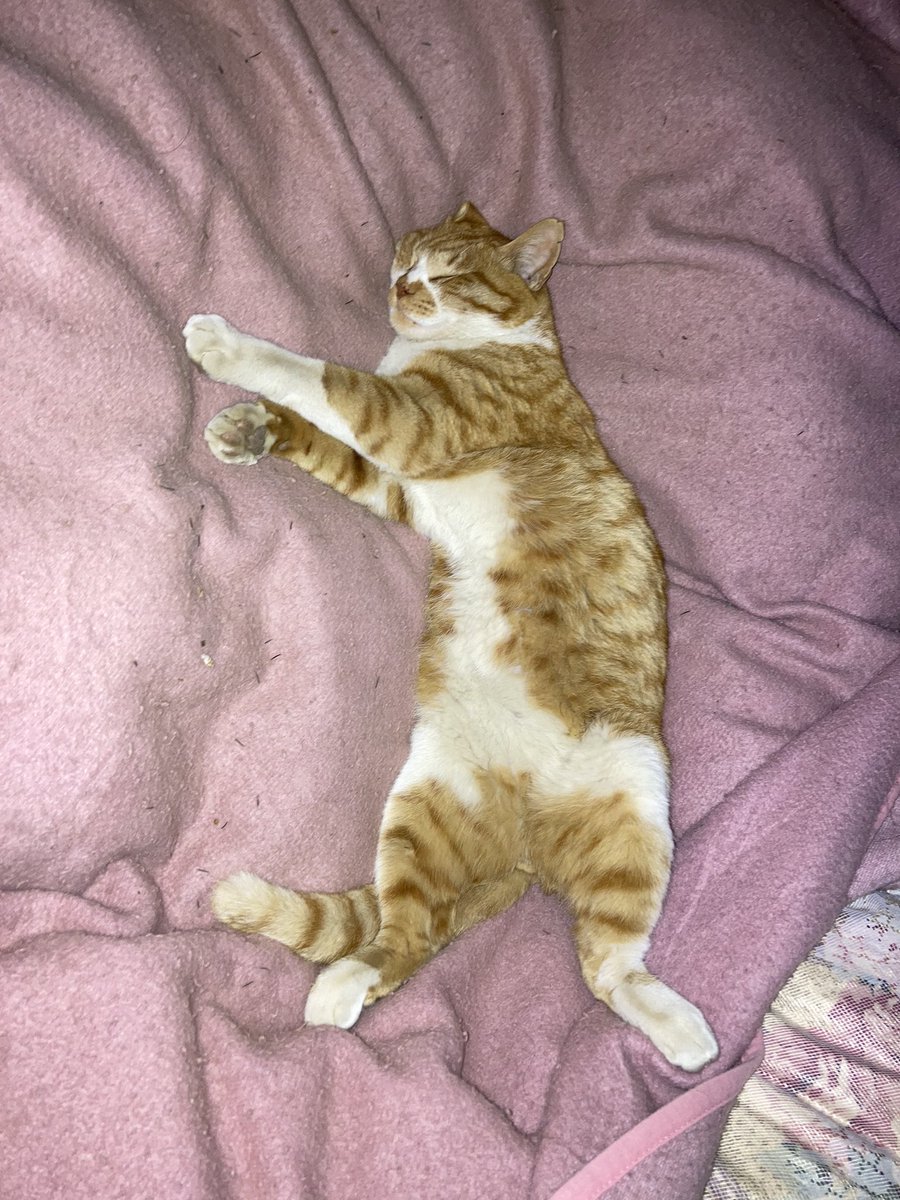 古籏一浩(@openspc) - Twilog