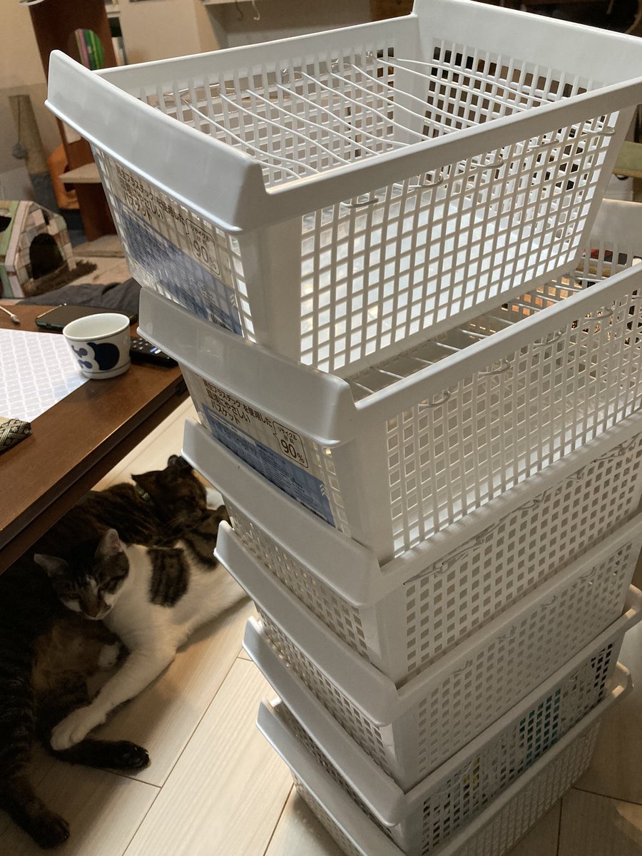 狸小路 ぽん子（テルミン弾き）(@ponmenoko) - Twilog