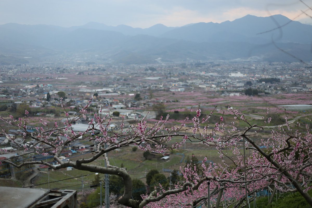 ふんすい(@fun_sui) - Twilog (ツイログ)