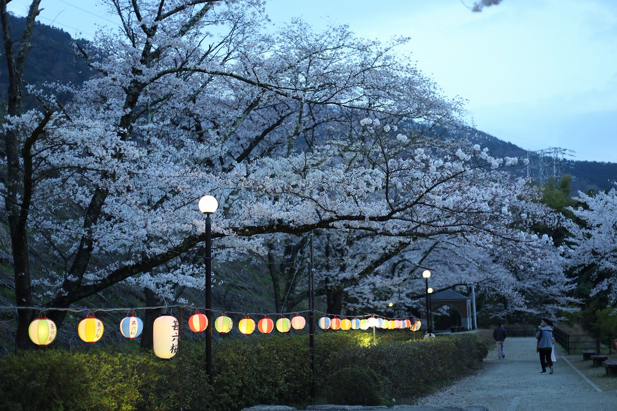 ふんすい(@fun_sui) - Twilog (ツイログ)