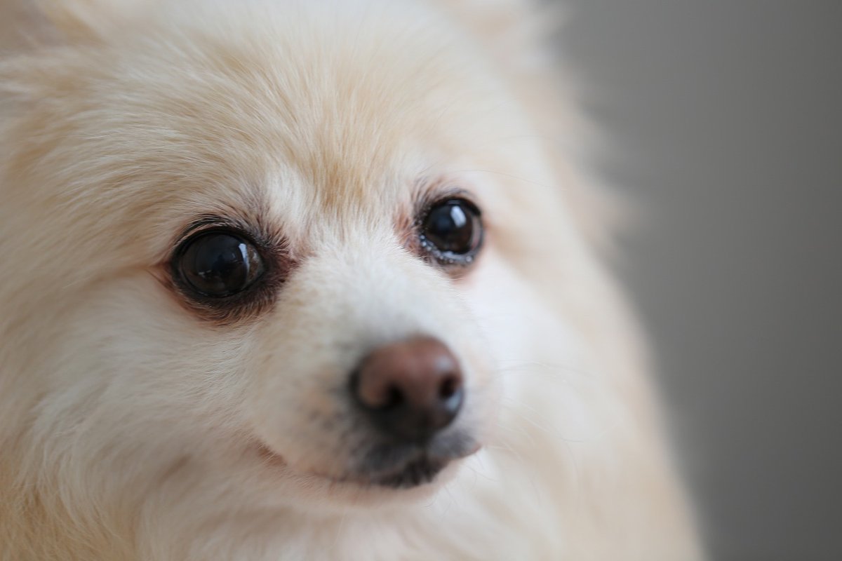 ふんすい(@fun_sui) - Twilog (ツイログ)