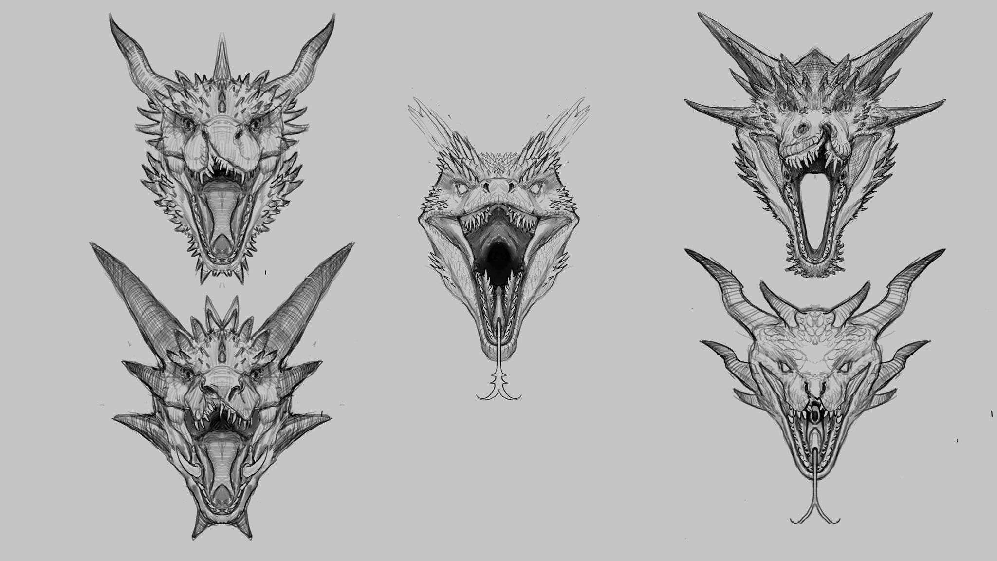 Dragon Face Front Drawing