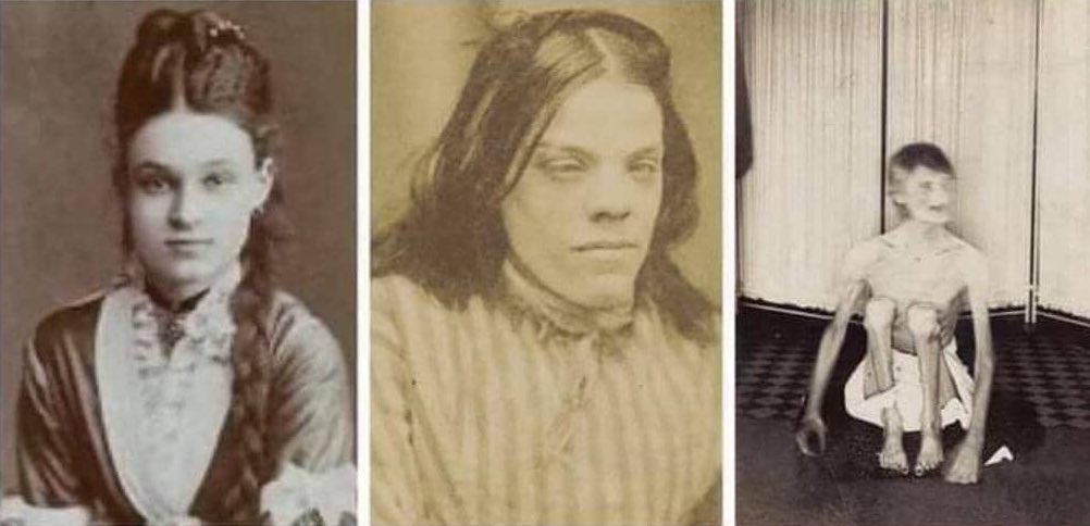 Thread by @cronopiatw on Thread Reader App – Thread Reader App