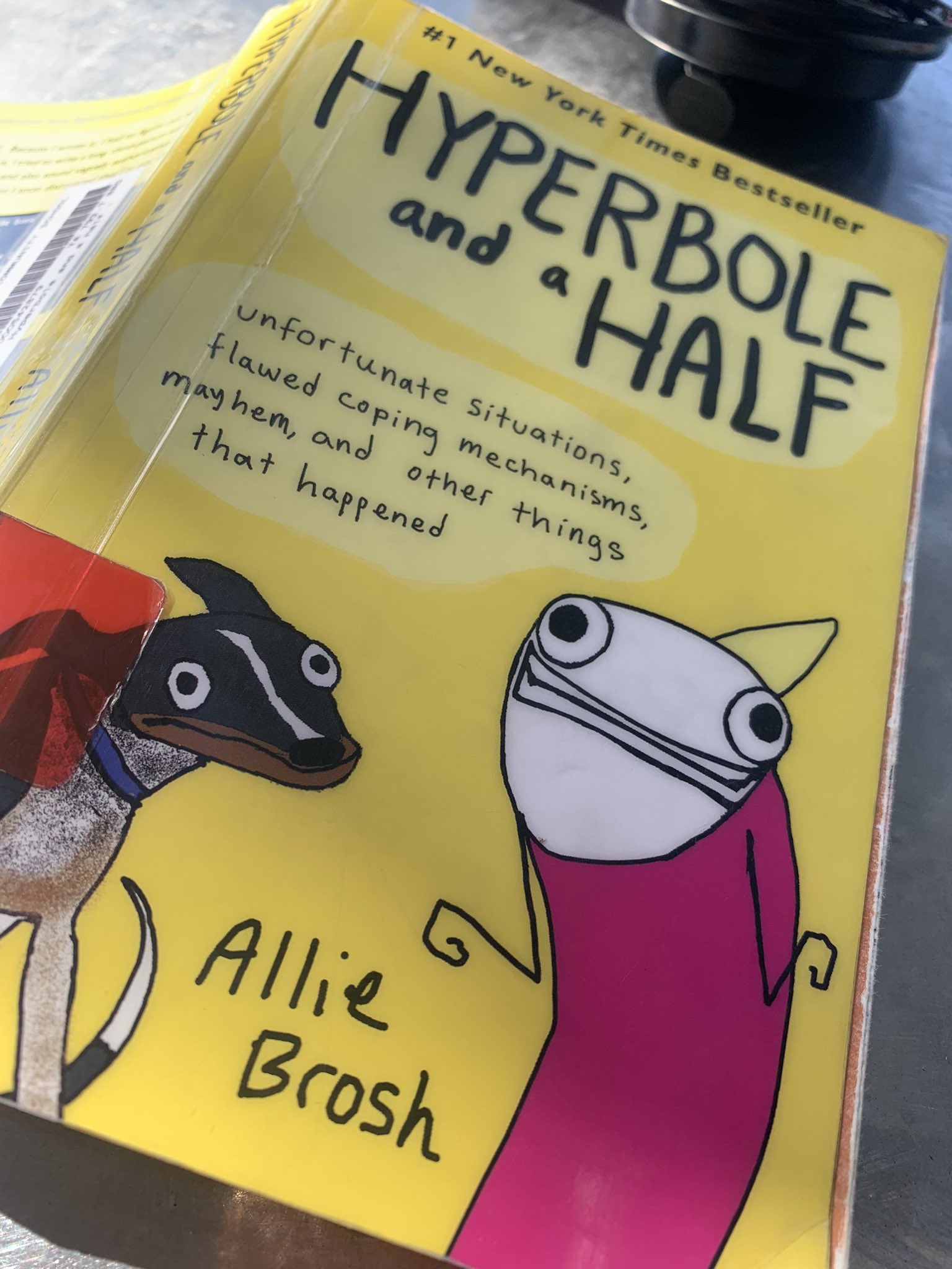 Hyperbole And A Half Book Cover