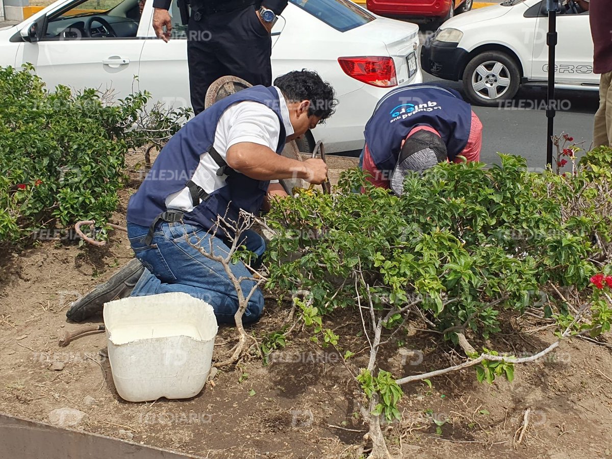 Peatonsito en Oaxaca 🇲🇽 🦜♻️ on Twitter: Peatonsito en Oaxaca 🇲🇽 🦜♻️ on Twitter: