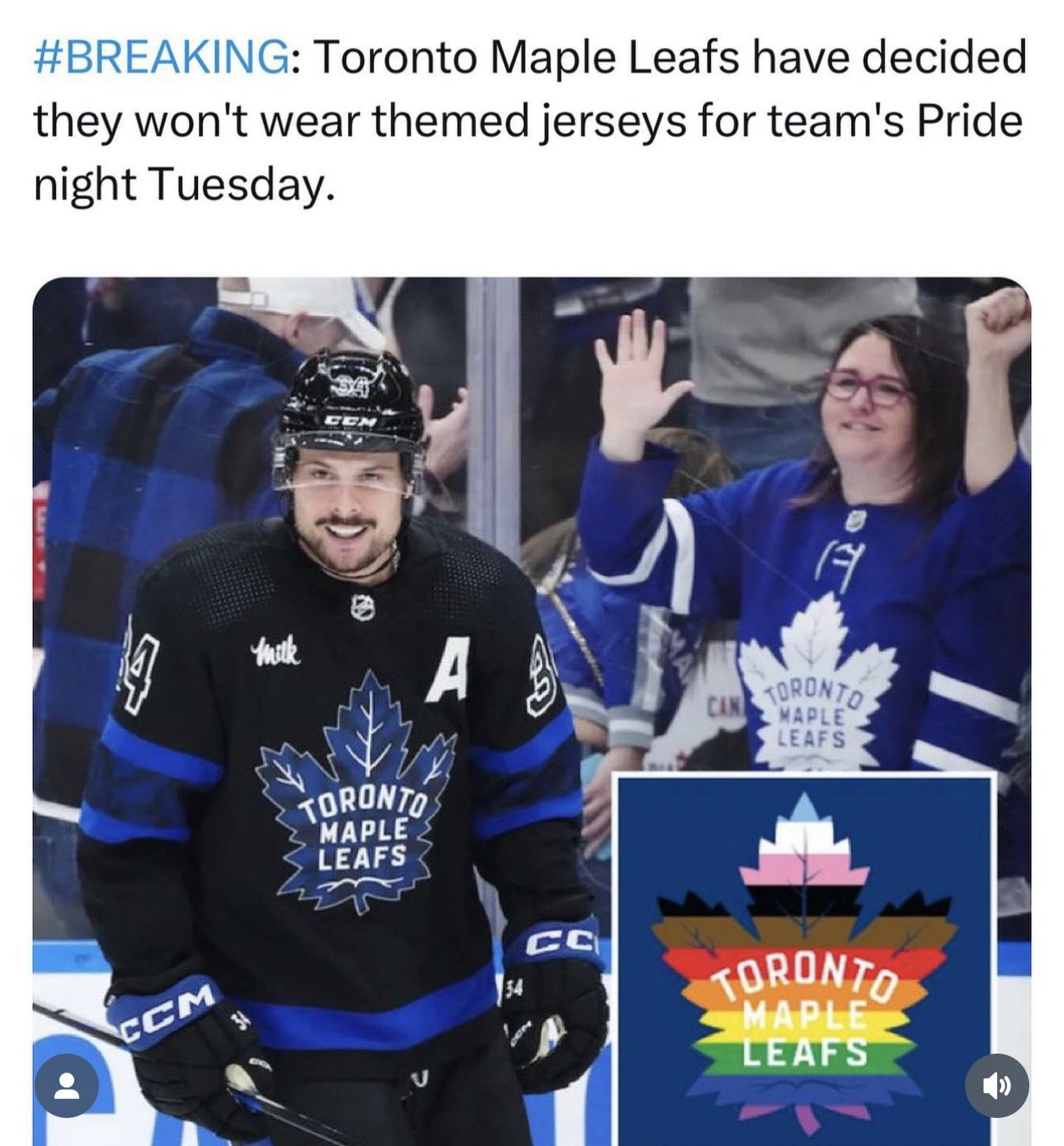 Toronto Maple Leaf Memes
