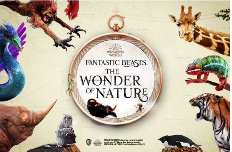 The Rowling Library on Twitter: "The extraordinary exhibition Fantastic ...