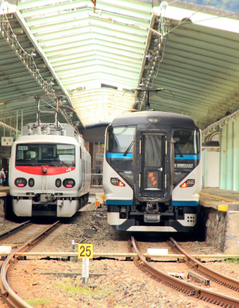 Capybara Works🍥 on Twitter: "RT @sa_kun0902: 2023/4/5 伊豆急下田駅にて E257系とE491系East i-Eが並びました 水カツと宮オオ ...